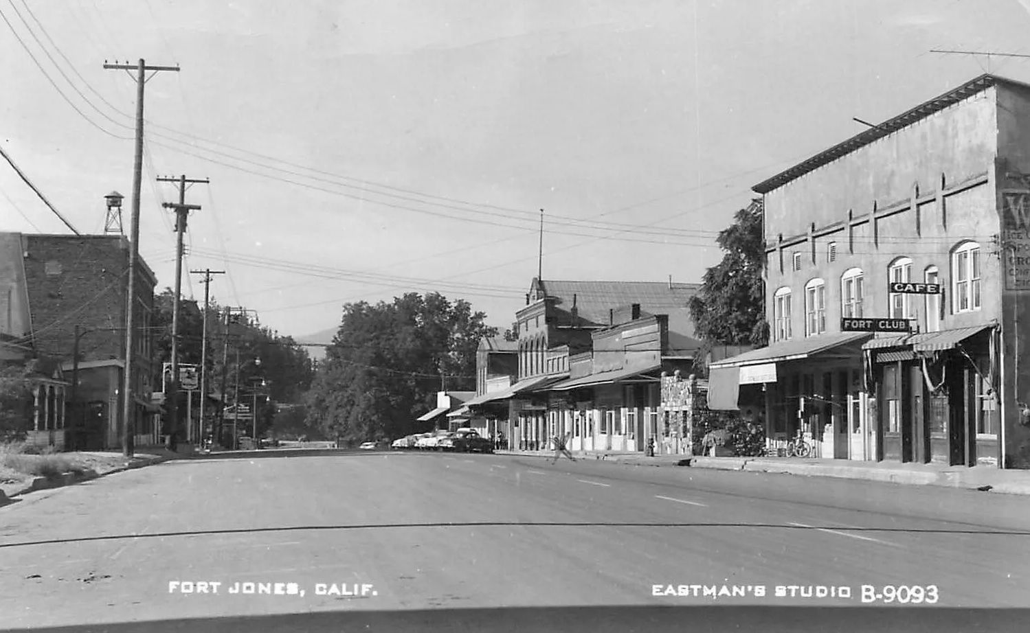 Behind the Redwood Curtain - Northern California Archive